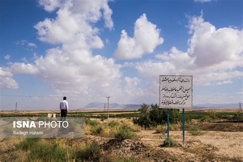 خبرآنلاین تصاویر آبیاری زمین‌های کشاورزی با آب‌ آلوده به فاضلاب