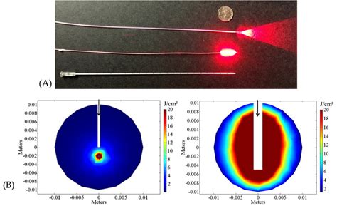 Laser Treatment Fibers A A Typical 600 µm Diameter Flat Cut Top A