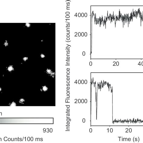 Katherine A Willetss Research Works Temple University Pa Tu And Other Places