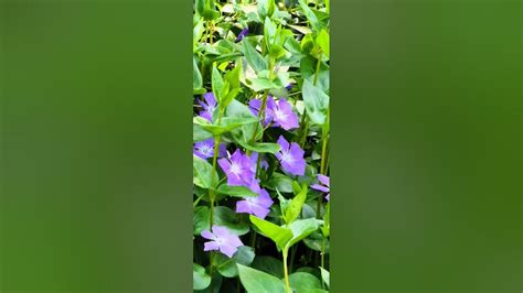 이것은 죄 사함을 얻게 하려고 많은 사람을 위하여 흘리는 바 나의 피 곧 언약의 피라마2628 Youtube