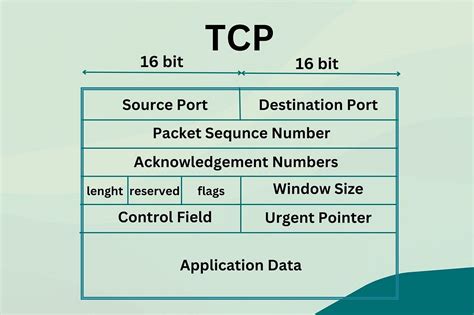 Tcp Transport Layer Acknowledgements Acks Tcpip Katmanları