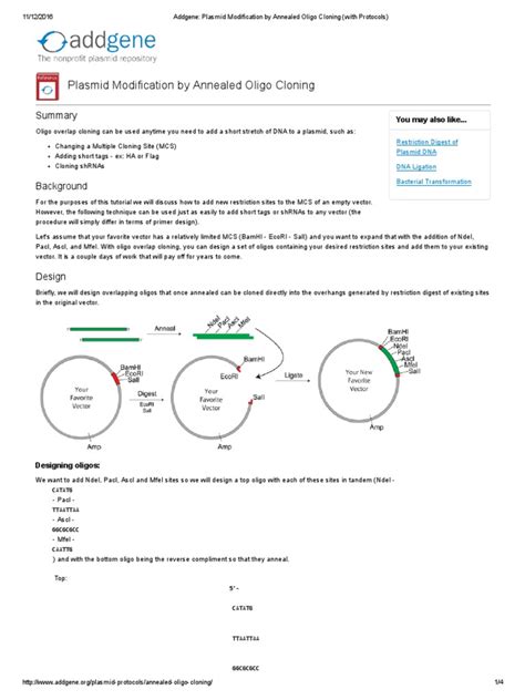 Plasmid Modification By Annealed Oligo Cloning Pdf Plasmid Molecular Cloning