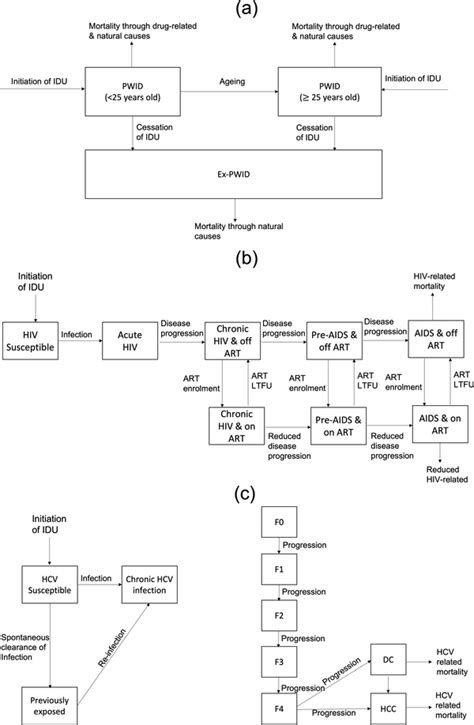 Model Schematics A Model Schematic Of Initiation And Cessation Of Download Scientific