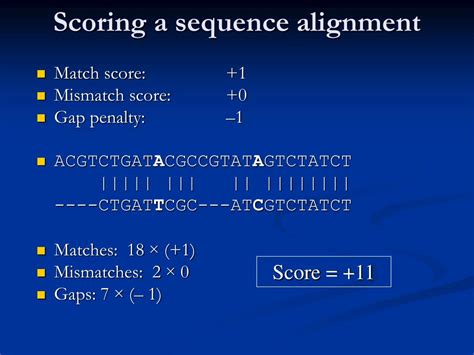 ppt ch 3 sequence alignment powerpoint presentation free download