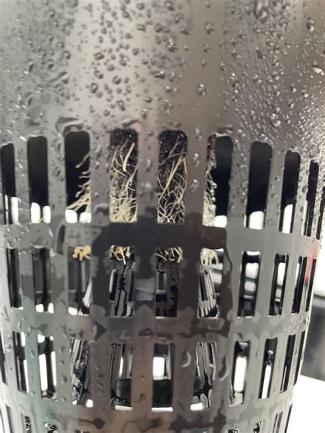 Problem With Roots Rdwc