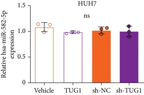 Hsa Mir 582 5p Negatively Regulates Siglec 15 Level And Its Induced Download Scientific Diagram