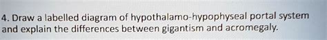 Solved 4 Draw A Labeled Diagram Of Hypothalamo Hypophyseal Portal System And Explain The