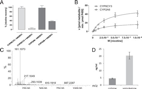 Figure 2 From Gene Amplification And Microsatellite Polymorphism