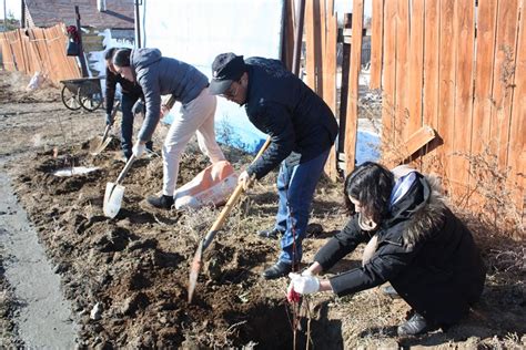 Дархан сумын ИТХ ын ажлын албаныхан мод тарив