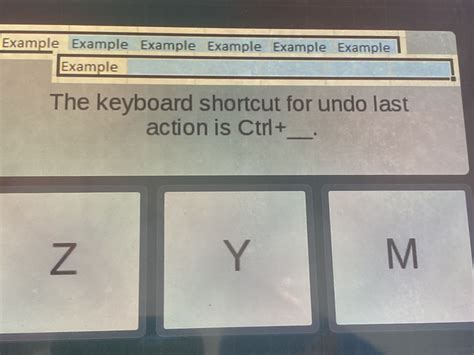 The Keyboard Shortcut For Undo Last Action StudyX