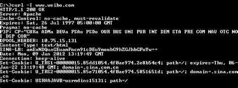 Substance Weibo Redirecting Loop Fixed Finally