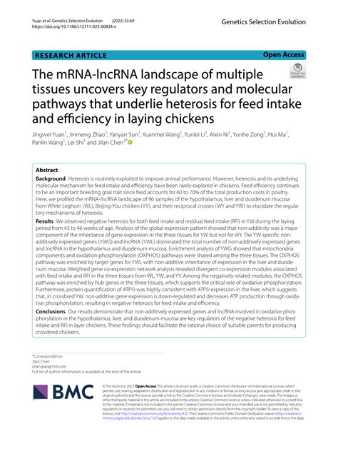 PDF The MRNA LncRNA Landscape Of Multiple Tissues Uncovers Key Regulators And Molecular