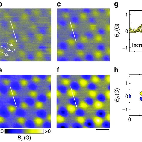vortex lattice evolution with magnetic field a f vortex lattice
