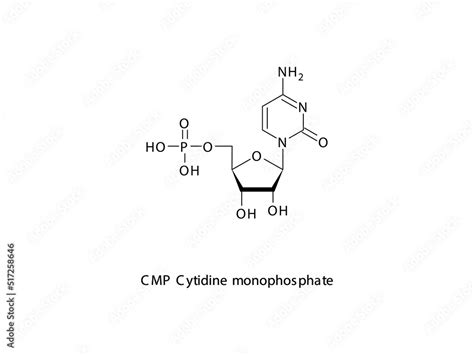 CMP Cytidine Monophosphate Nucleotide Molecular Structure On White Background DNA And RNA