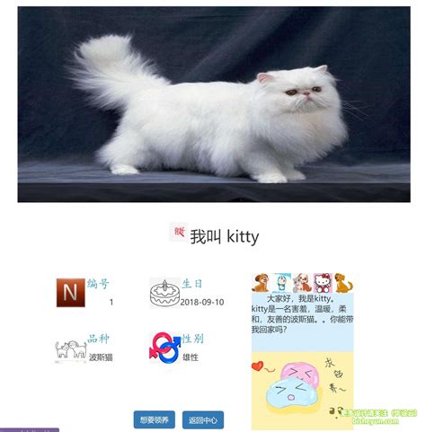 Java毕业设计源码基于ssm宠物领养管理系统 毕设网 计算机毕业设计源码毕业设计成品论文下载网