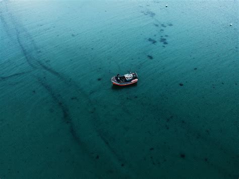 Top Oil Spill Detection Companies