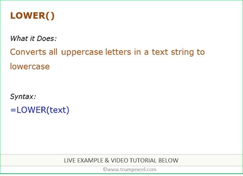 How To Use Excel Lower Function Examples Video