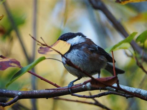 I Think I Found An Interesting Bug Rdnd I Think I Found An Interesting Bug Rdnd