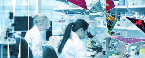 The Marcs Institute Event After 16 Years As Director Of Marcs Institute Professor Denis