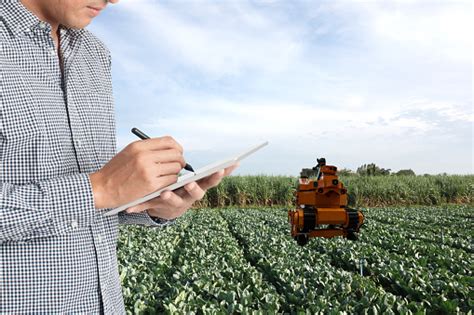 Iot 미래의 개념 유지 농업에 스마트 농부 사용 로봇에에서 스마트 농업 야채 과일 농장에서 제품을 수집 하 고 태블릿 계속 데이터를 실시간으로 분석을 사용 하 여 사진