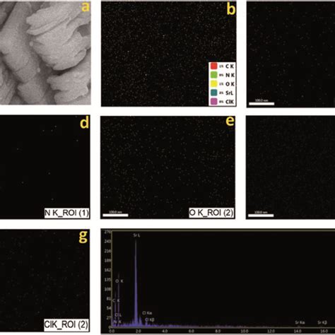 The Energy Dispersive X Ray Analysis With A Single Point Edx Mapping Download Scientific