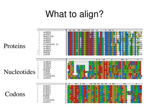 in bioinformatics use a computational method dynamic programming