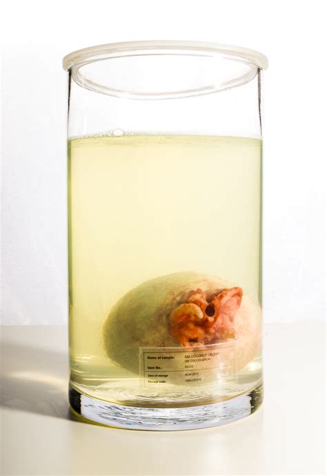 Bestiary Of Transgenic Organisms Behance Behance