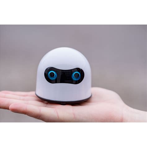edubot