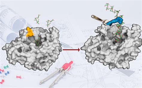 New Technology For Enzyme Design Bioengineerorg