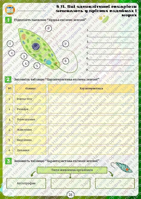 Робочий зошит з біології для 7 класу НУШ до підручника П Балан Біологія