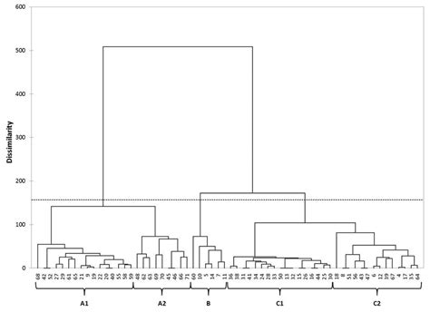 Dendrogram Produced As A Result Of Agglomerative Hierarchical