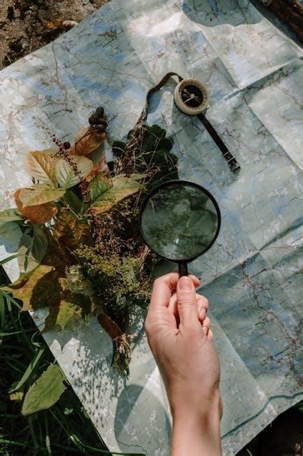 Boot Width Size Guide Find Your Perfect Fit