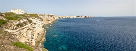 Gp De Lecci Balltrapweb