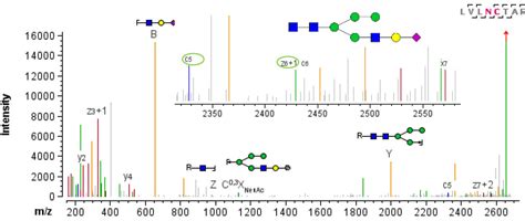 site specific n linked glycan profiling on the fusion protein