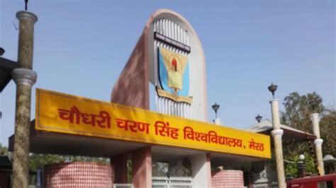 CCSU Meerut आज और कल डउनलड कर बलक आफर लटर चनत मलयकन म 15 स अक बढकर हए 60