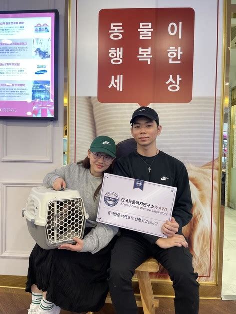 코리안숏헤어 장군이 하이랜드폴드책임분양 애완견책임분양 반려견책임분양 소형견키우는방법 중형견키우는방법 대형견키우는방법 미니비숑프리제키우는방법 토이푸들키우는방법 골든리트리버