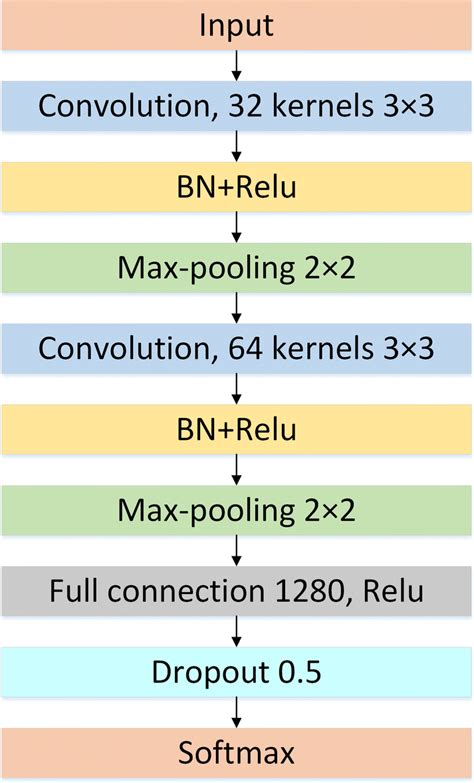 Shallow Convolutional Neural Network For Image Classification