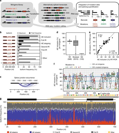 Identify Important Patterns Within Your Data By Samarth Ts Fiverr