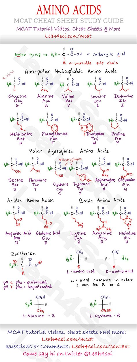 Ph Of Amino Acids Chart
