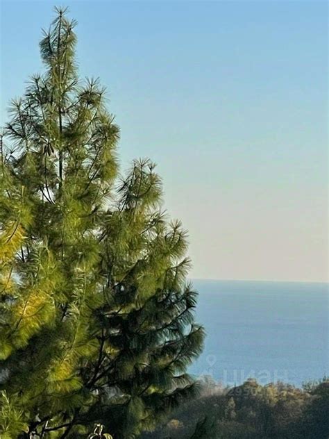 Продаю участок 10сот Краснодарский край Сочи р н Лазаревский Черноморец садовое товарищество