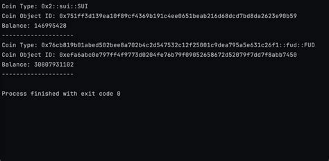 How To Use The Sui Typescript Sdk Dev Community