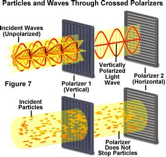 Molecular Expressions Microscopy Primer Physics Of Light And Color Light Particle Or A Wave