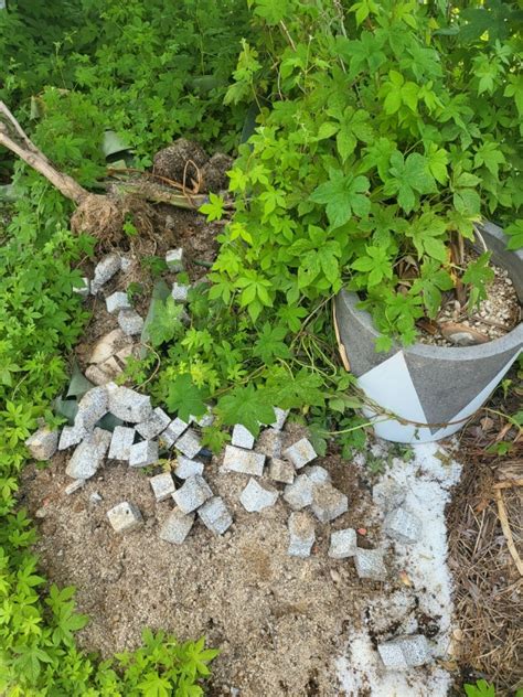 안양 안산 의왕 수원 화성 동탄 평택 개업화환수거회수 개업화분수거회수 폐기물처리 방법 Tip 네이버 블로그