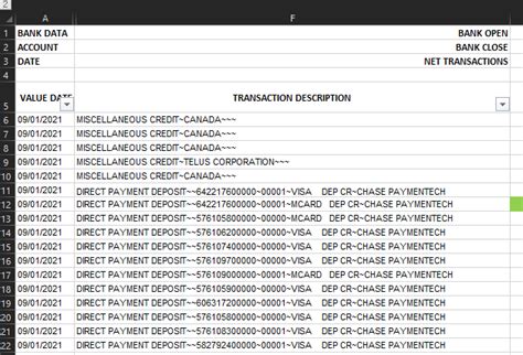 excel needs to extract the nine digit code from the description using