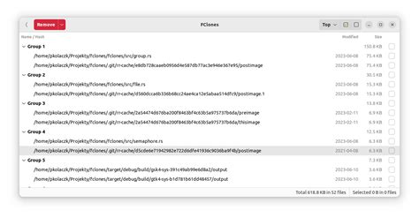 Install Fclones Gui On Linux Snap Store