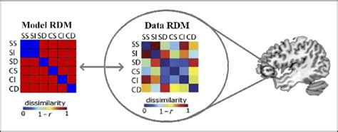 Rsa Overview Center And Right Brain Data Rdm From A Single