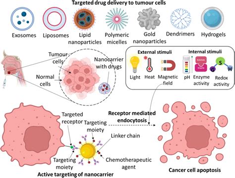 Schematic Representation Of A Drug Delivery System Download