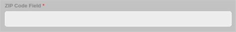 working with input masks convert forms