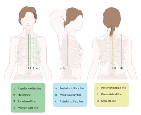 Midclavicular Line 5th Intercostal Space
