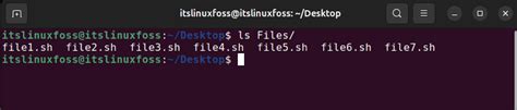 How To Use Bash For Loop As A Linux Administrator